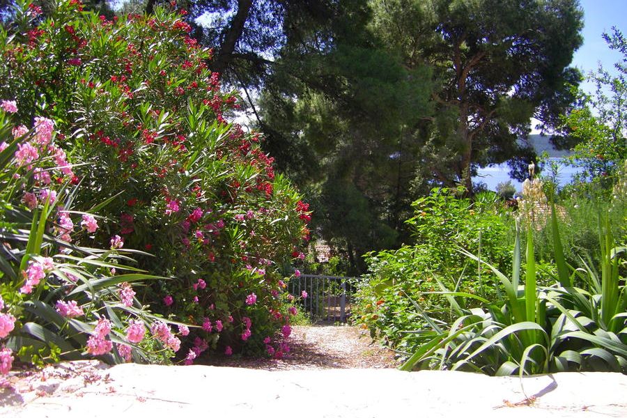 Holiday Cottage, ‘Miris Mora’ | Visit Jelsa.